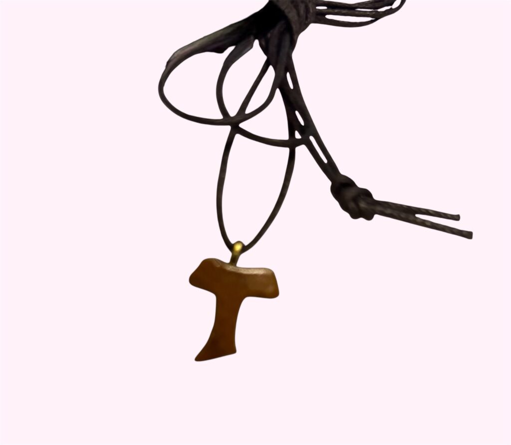 Tau San Francisco de Asís - 🌸María Plein de Grace🌸